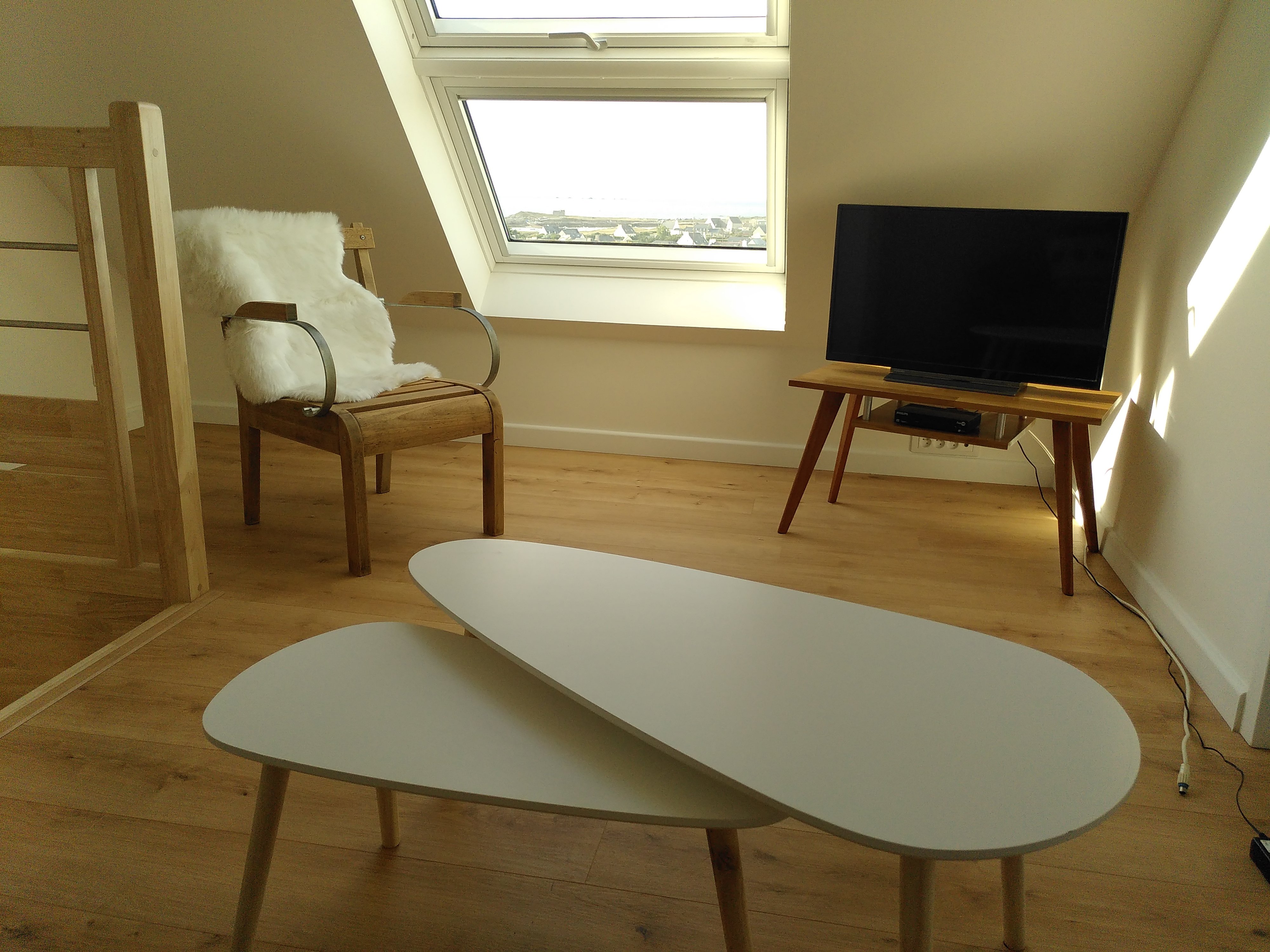 Les Guillemots - Carnac