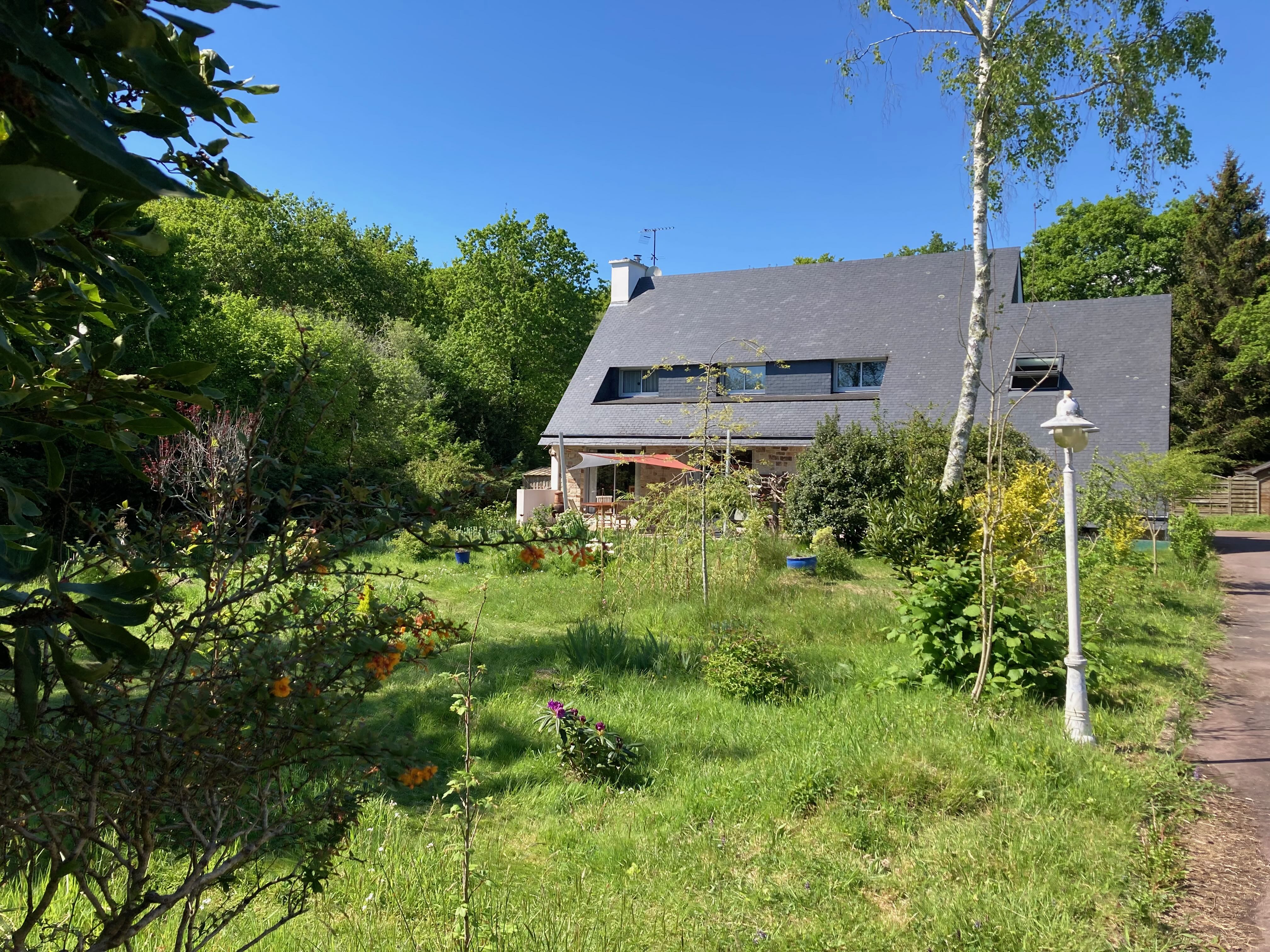 Le petit bois - Carnac