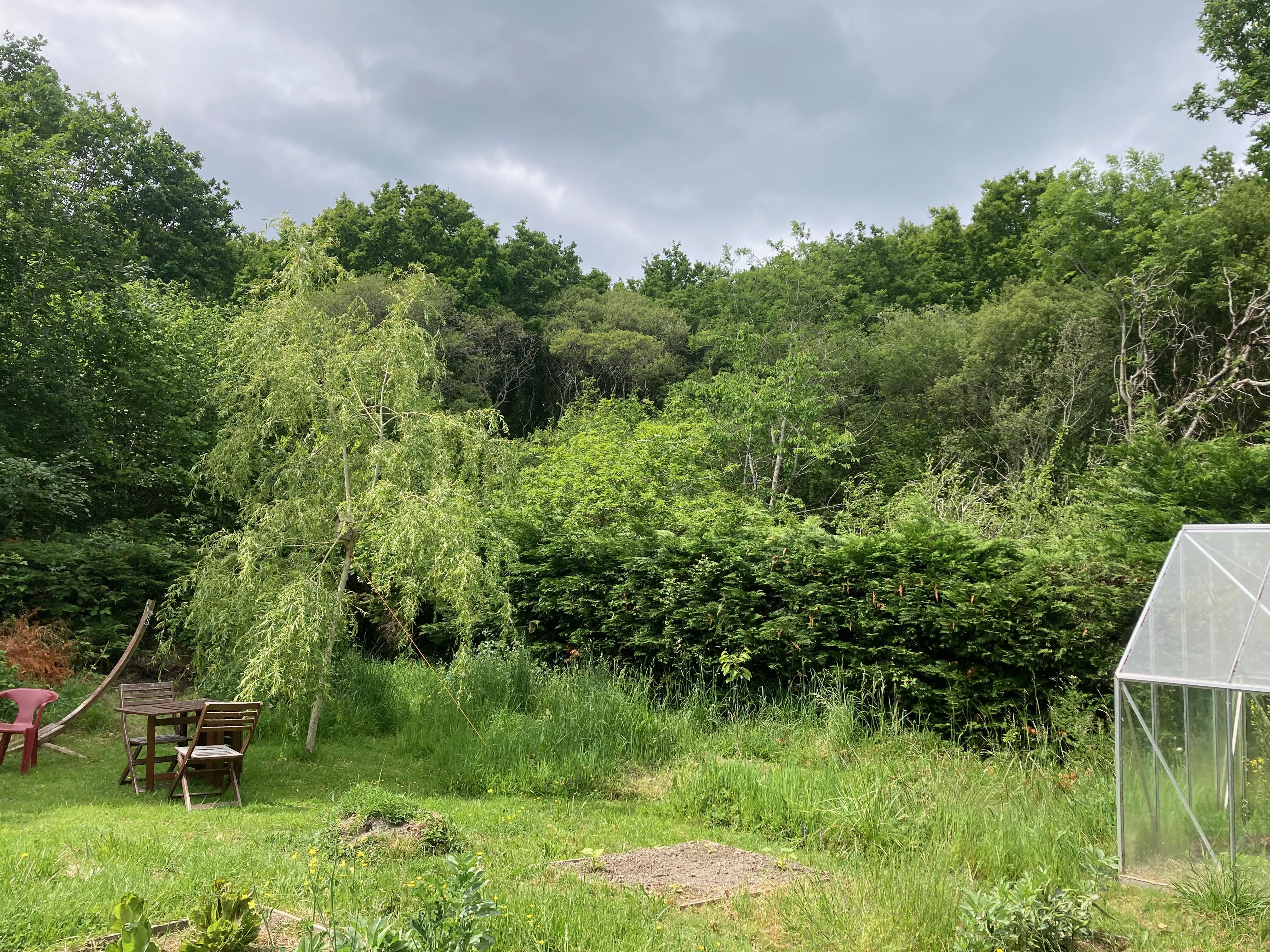 Le petit bois - Carnac